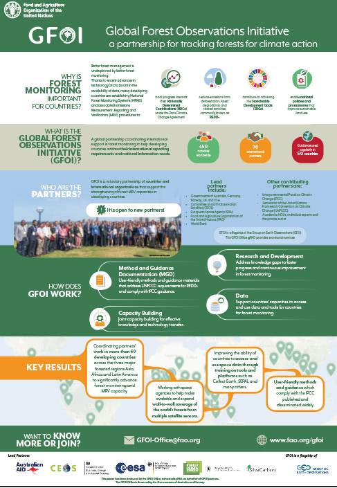 Global Forest Observations Initiative: detail